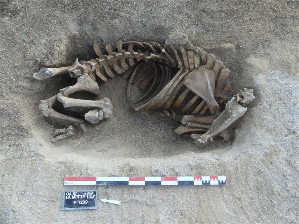 LA MOTTE-TILLY (10) – Les Sables de la Trématte (Zone sud phase 1) – Éveha