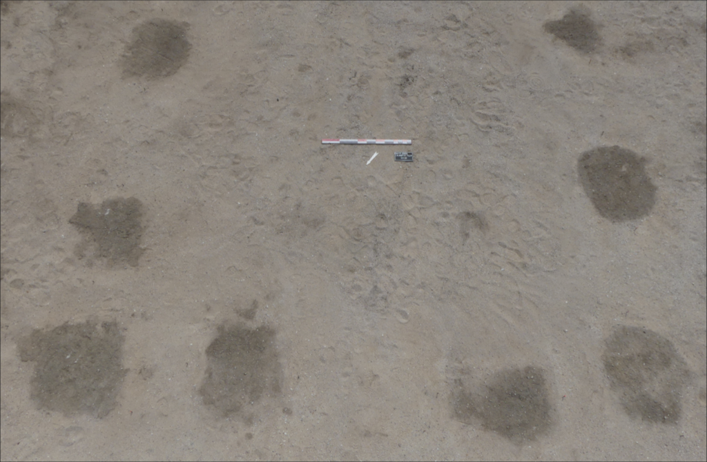 LA MOTTE-TILLY (10) – Les Sables de la Trématte (Zone sud phase 1) – Éveha